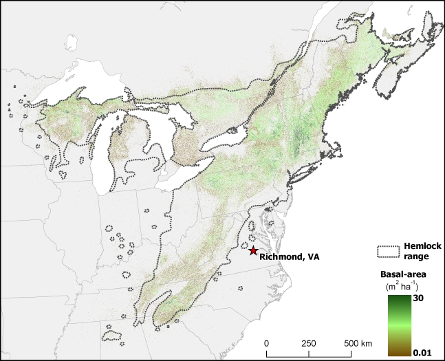 The unBalanced ecoLOGist: Hemlock Hospice [I] – The Unbalanced Ecologist